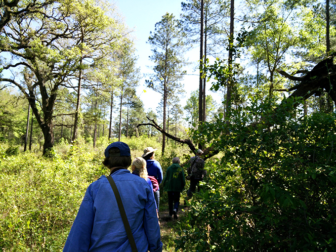 Hiking: Adventure seekers follow in ancient footsteps, where every turn reveals another chapter of Florida's forgotten history.