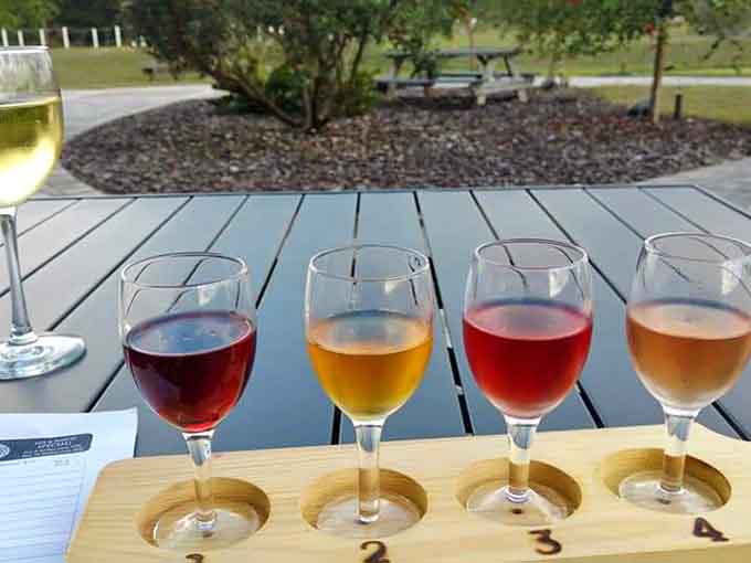 A wine flight that's basically a choose-your-own-adventure book where every ending involves you discovering your new favorite wine and feeling very sophisticated.