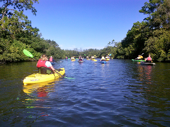 Colorful kayaks glide through mangrove tunnels, where dappled sunlight creates nature's stained glass ceiling above paddlers exploring hidden waterways.