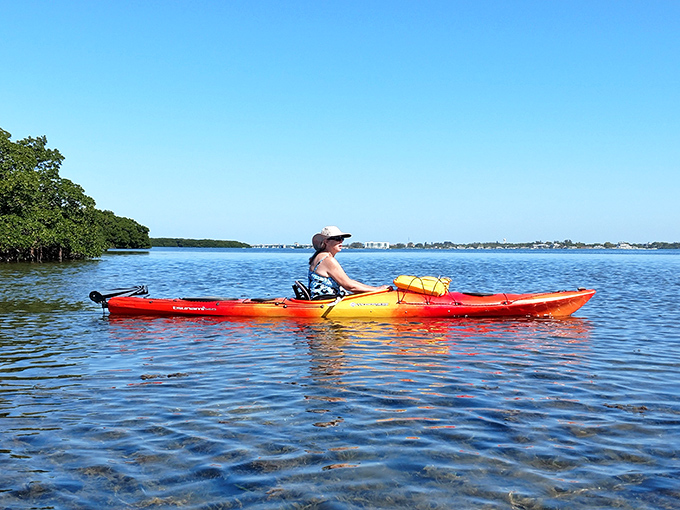 Kayaking through mangrove tunnels reveals Florida's wild heart, where time slows and wildlife encounters become magical memories.