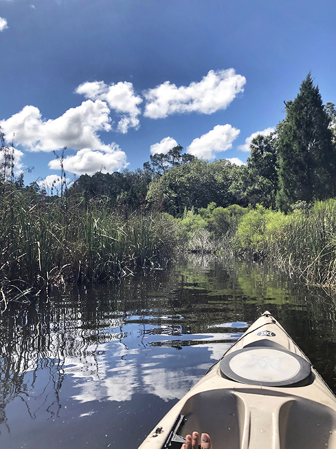 Gliding through narrow passages of reeds and marsh grass feels like discovering secret pathways in nature's own labyrinth.