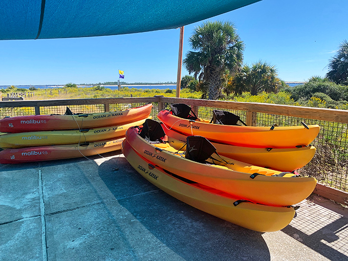 Colorful kayaks waiting for adventure &ndash; your ticket to exploring Shell Island's hidden coves and secluded beaches at your own blissful pace.