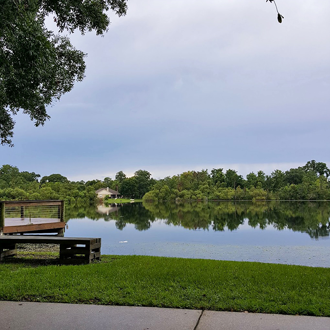Morning mist rises from the lake's surface, transforming an ordinary shoreline into something from a watercolor dream.