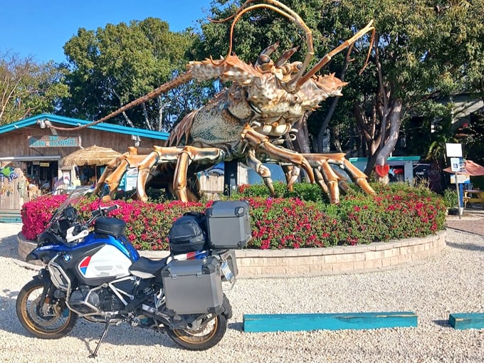 Lobster and Motorcycle: Even hefty touring bikes look like children's toys when parked beside Islamorada's famous fiberglass giant.