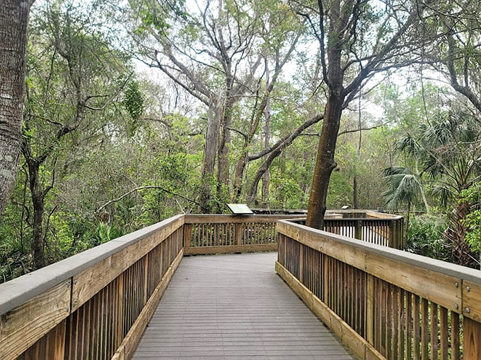 Elevated boardwalks wind through the landscape, offering new perspectives on the ecosystem below while making the garden accessible to visitors of all abilities.