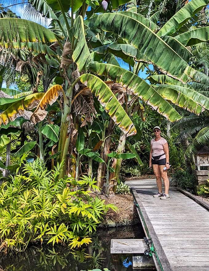 Scale becomes apparent when visitors wander beneath towering banana plants, reminding us that tropical gardens make everyone feel delightfully small.