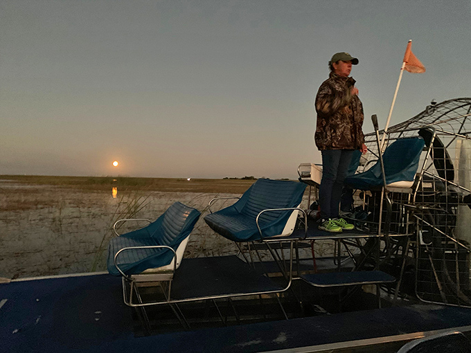 Nighttime tours transform familiar waterways into mysterious passages where every shadow might hide a prehistoric surprise.