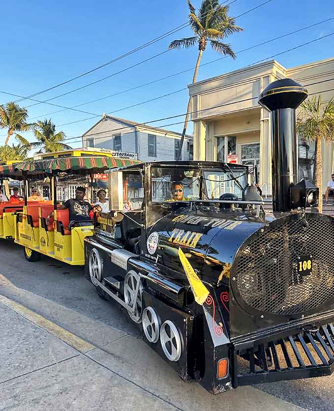 No windows, no problem! The open-air design means you'll catch every sea breeze while soaking up island stories.