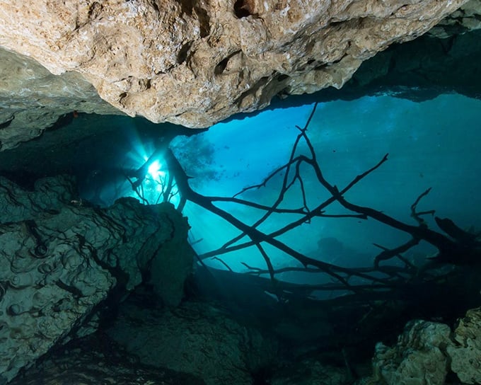 Orange Grove Cavern reveals its ethereal blue glow, a subterranean cathedral where light dances through crystal waters.