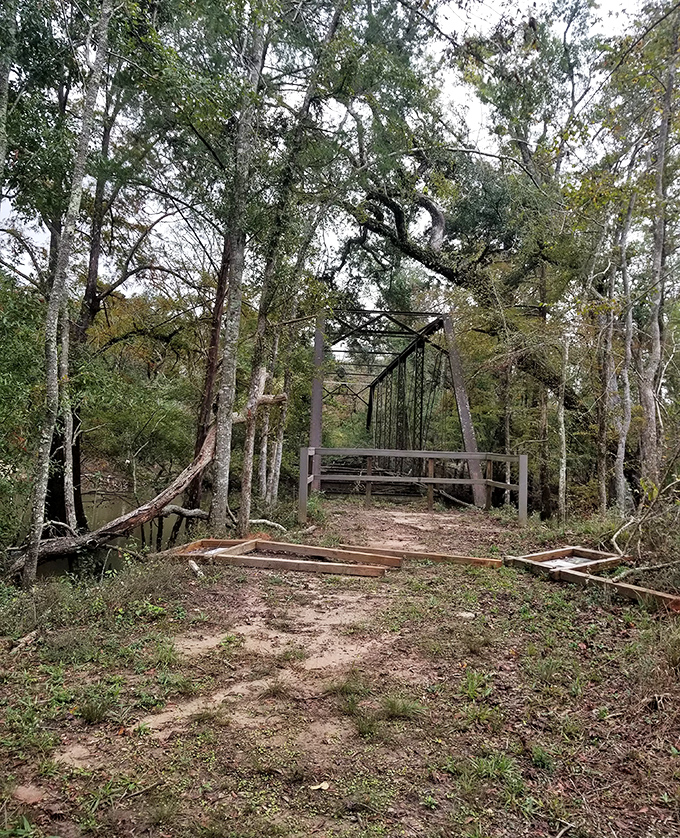 The approach to Bellamy Bridge feels like stepping back in time, with nature slowly reclaiming what humans built.