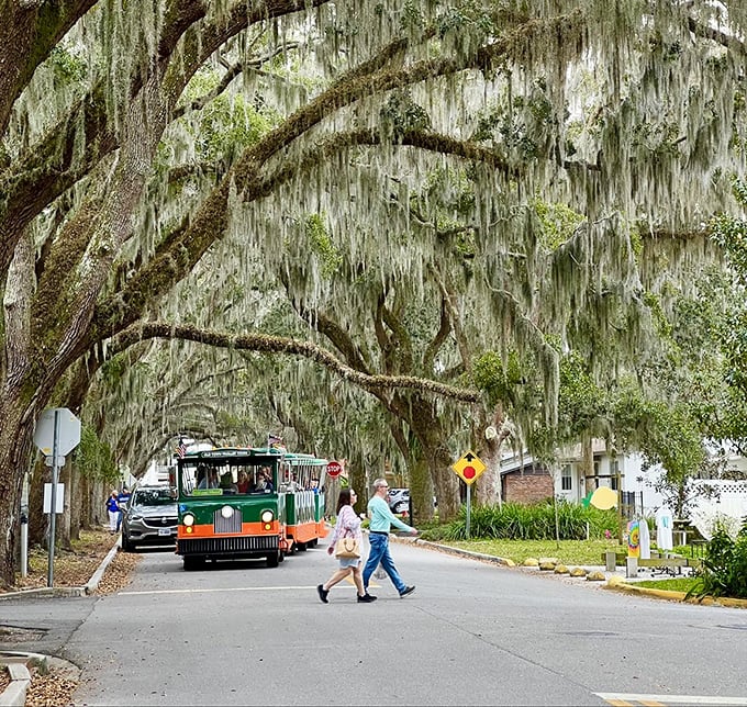 Pedestrians cross beneath centuries-old sentinels, momentarily becoming part of Magnolia Avenue's ongoing story of community and connection.