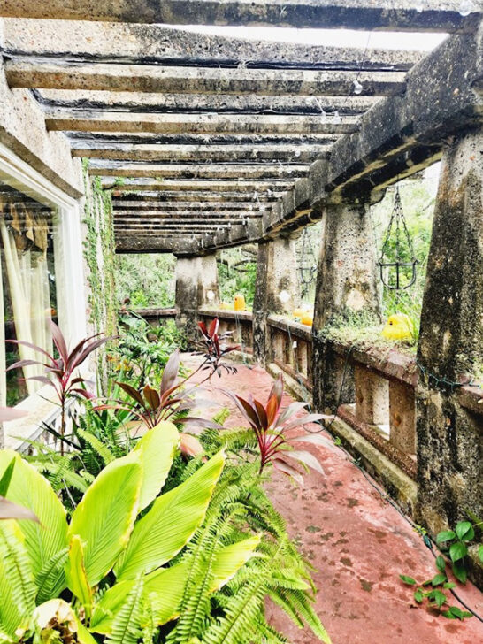 The Wonder House In Florida Is So Darkly Whimsical, It Feels Like A Tim ...