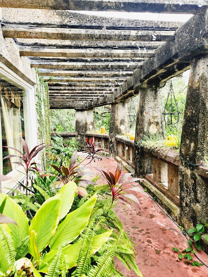 Sunlight filters through the pergola corridor, creating patterns that shift throughout the day like nature's own light show.