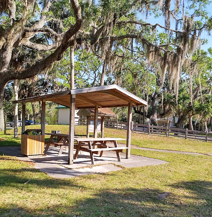 Lunch with a view, anyone? This shaded picnic spot offers front-row seats to nature's daily performance.