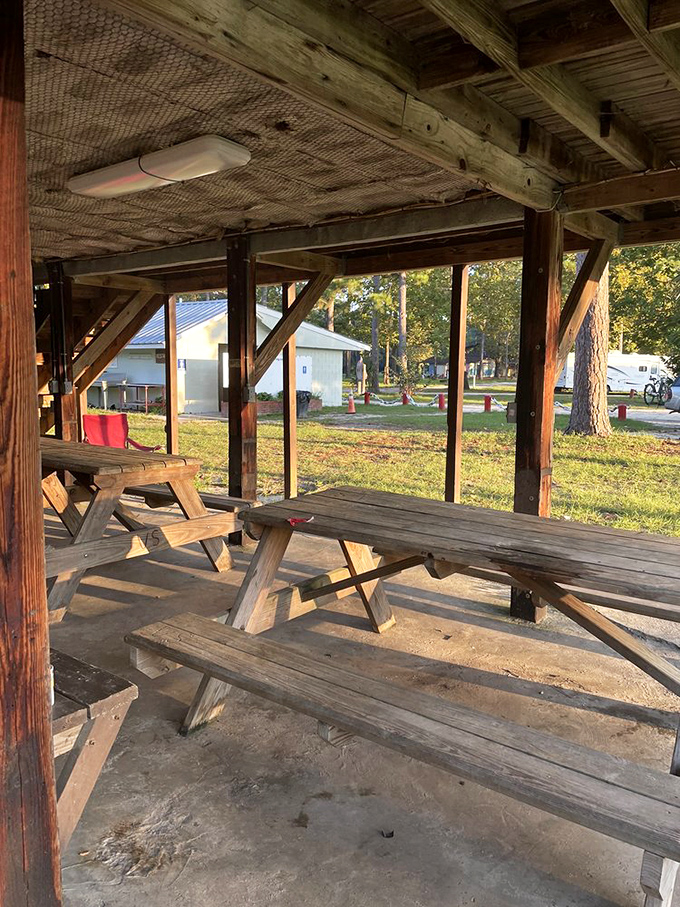 This rustic picnic shelter has witnessed countless family reunions, birthday celebrations, and the timeless tradition of dads insisting they "meant to flip that burger that way."