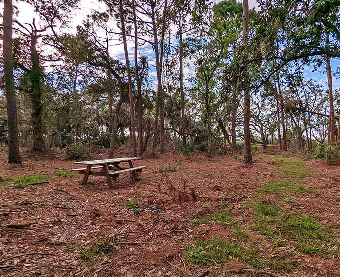 Picnic tables under spreading oaks offer the perfect spot where your sandwich tastes better simply because of the view.