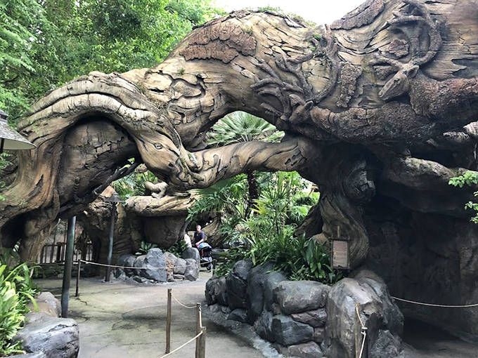 Duck your head and enter another world through these carved root tunnels, where animal sculptures peek out from every twist and turn.