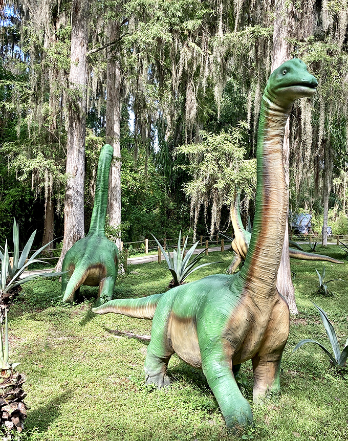 These gentle giants seem to be gossiping about that meteor that's supposedly coming. "It's just a phase, the planet's going through changes."