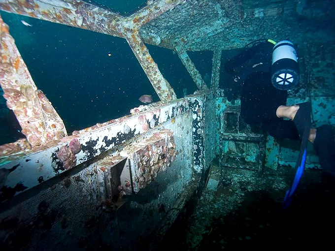 Divers explore the ship's control tower, where captains once commanded a warship and now schools of fish hold their daily meetings.