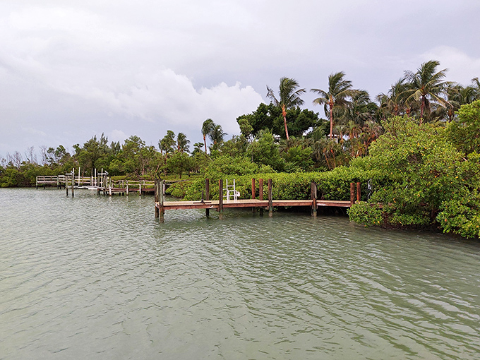 Wooden docks stretch into calm waters, offering perfect launching points for adventures or simply places to dangle feet and contemplate life's mysteries.
