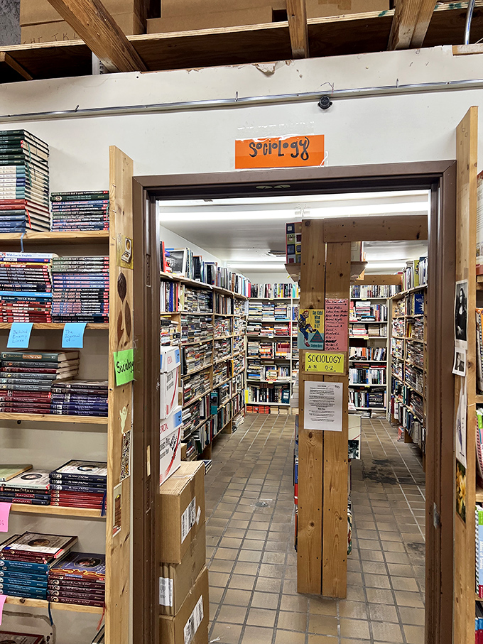The sociology section: where human behavior is explained on paper, while being demonstrated in the aisles by browsing customers.