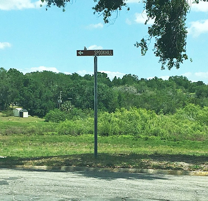 This unassuming street sign points the way to one of Florida's most peculiar attractions, a humble marker for an extraordinary experience.