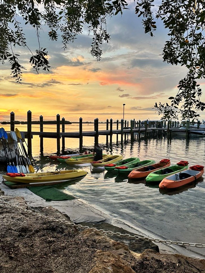 Sunset view: Florida's famous golden hour paints the marina in warm hues, setting the perfect backdrop for the evening's illuminated adventure.