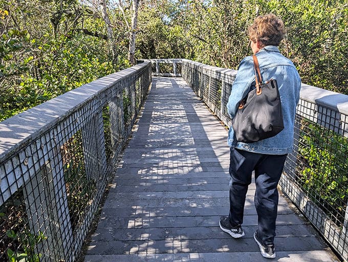 The boardwalk stretches ahead like a choose-your-own-adventure book, except every choice leads somewhere beautiful.