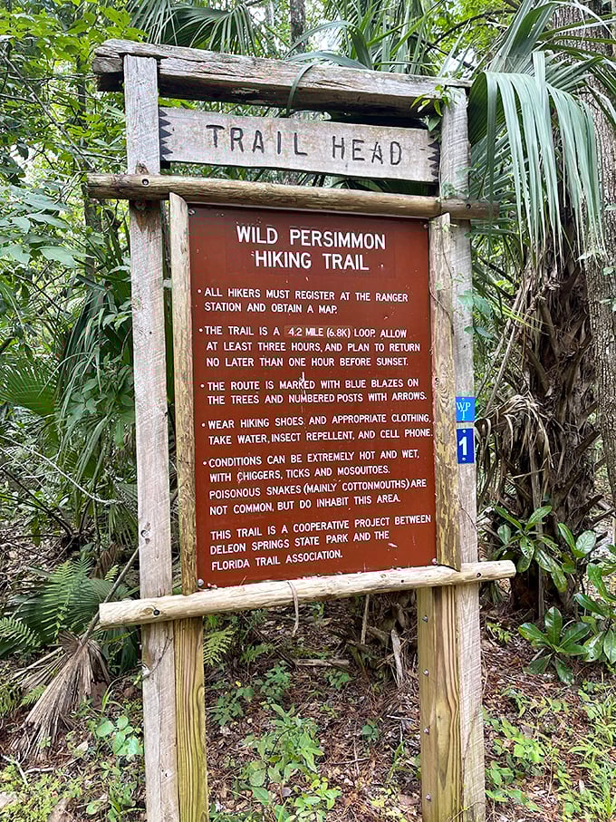 "Extremely hot and wet with chiggers" is Florida's charming way of saying "Welcome to paradise!" The Wild Persimmon Trail awaits the adventurous.