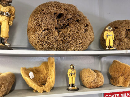 This Tiny Florida Museum Is Home To The World’s Largest Collection Of ...