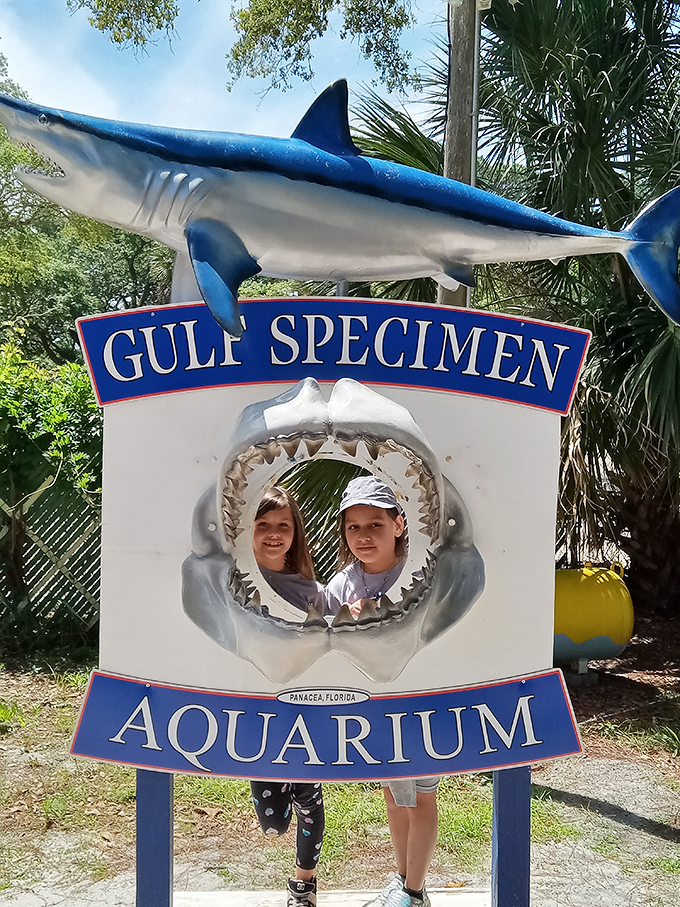Young visitors discover that marine biology is infinitely more interesting when you can actually touch what you're learning about.