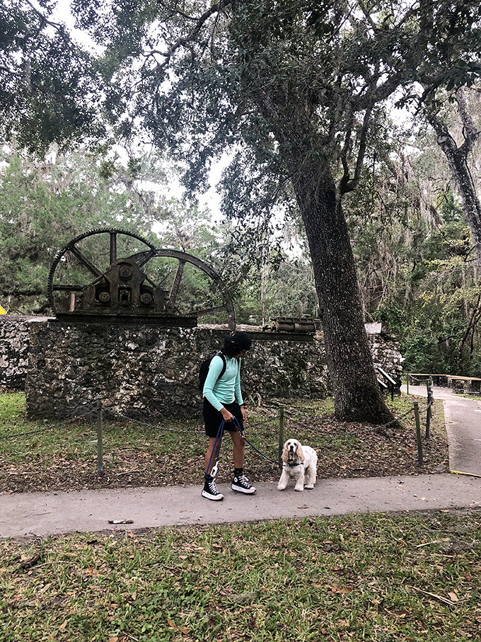 Four-legged friends welcome! The park's peaceful pathways offer perfect terrain for contemplative walks with furry companions.
