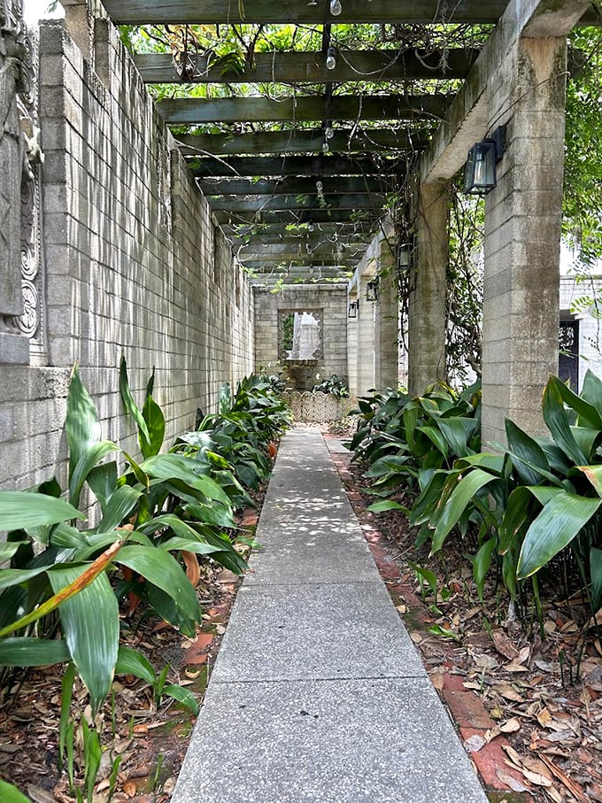 Nature reclaims this shaded walkway, where giant cast-iron plants stand sentinel along a path that whispers of hidden discoveries ahead.