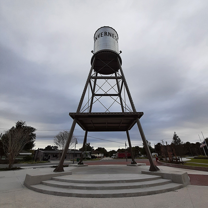 Water tower: Standing tall like the town's unofficial greeter, this iconic structure reminds visitors they've arrived somewhere special.