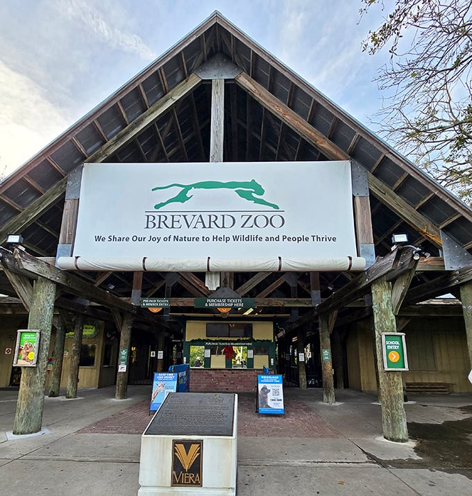 Welcome to adventure: Brevard Zoo's rustic entrance invites visitors to leave the ordinary behind and step into a world of wildlife discovery.