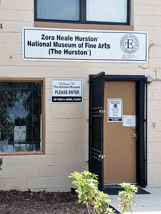 The Zora Neale Hurston National Museum of Fine Arts invites cultural explorers to discover the artistic legacy of African American creators.