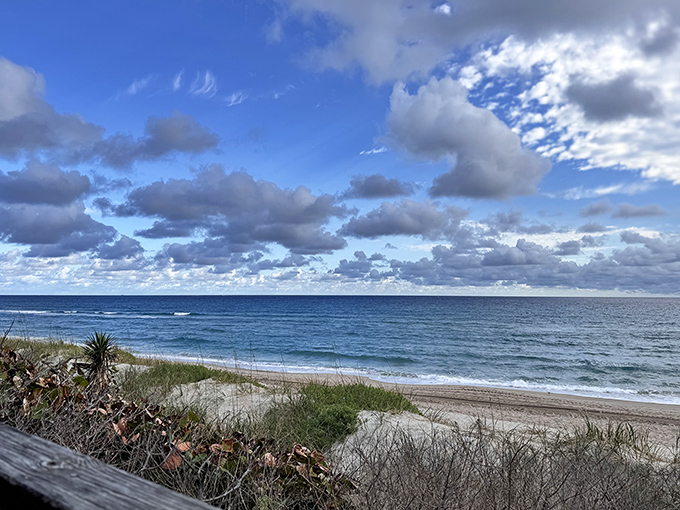 Where gentle waves kiss the shoreline and footprints tell stories of beachcombers seeking treasures and tranquility.