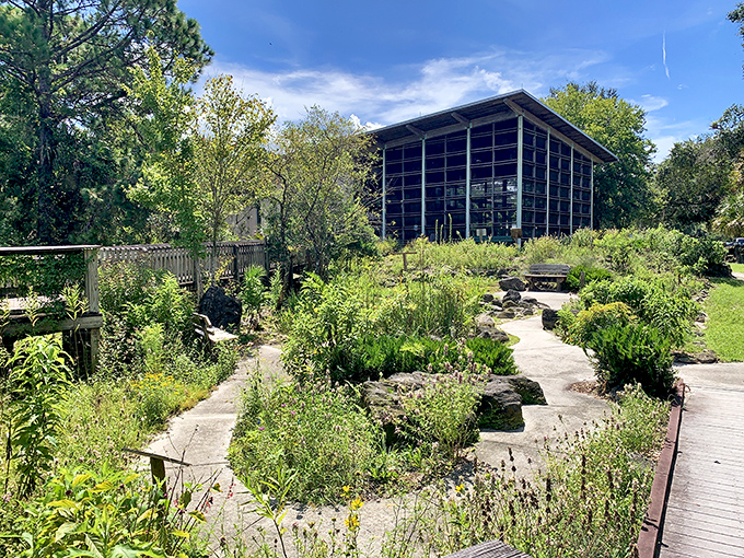 Nature's garden doesn't need weekly maintenance or chemical fertilizers. This botanical display thrives on Florida's sunshine and occasional downpours.