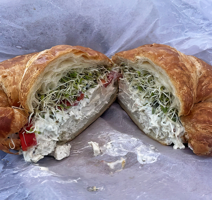 The chicken salad croissant reveals itself like a treasure chest of flavors – buttery, flaky exterior giving way to creamy, savory filling.