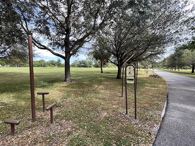 Fitness with a view: These exercise stations prove you don't need fancy gym memberships when Mother Nature offers the most scenic workout space in town.