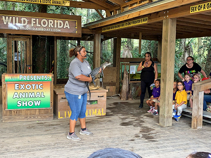Educational and entertaining, the exotic animal show brings visitors face-to-face with fascinating creatures while teaching conservation and respect for wildlife.