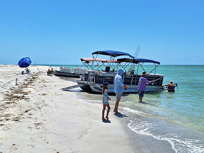 Weekend anglers test their luck against the Gulf's bounty, where the fishing stories you bring home might actually be true for once.