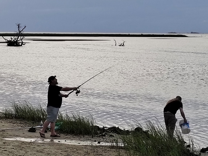 Local anglers know patience pays dividends here, where the rhythm of casting becomes meditation and dinner swims just beyond the shoreline.