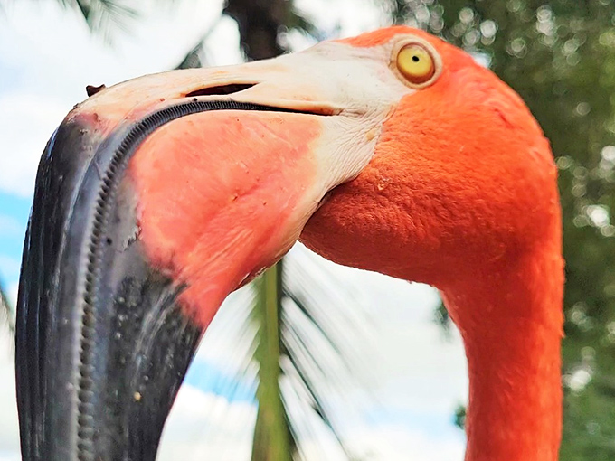 That judgmental side-eye could make even the most confident fashionista question their outfit choices.