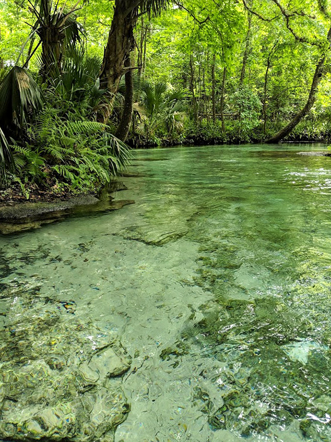 The spring's crystal waters maintain a perfect 68 degrees year-round &ndash; Mother Nature's thermostat never needs adjusting.