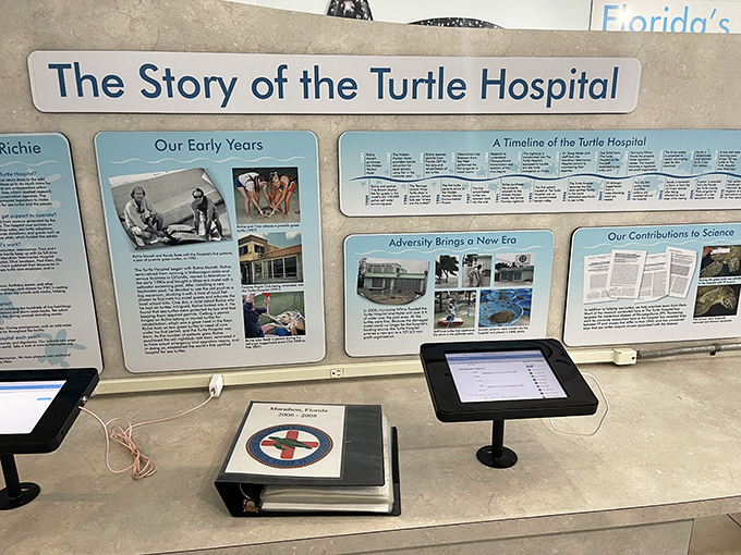 Wall displays chronicle the hospital's journey from humble beginnings to world-renowned rehabilitation center, showcasing decades of shell-saving success stories.