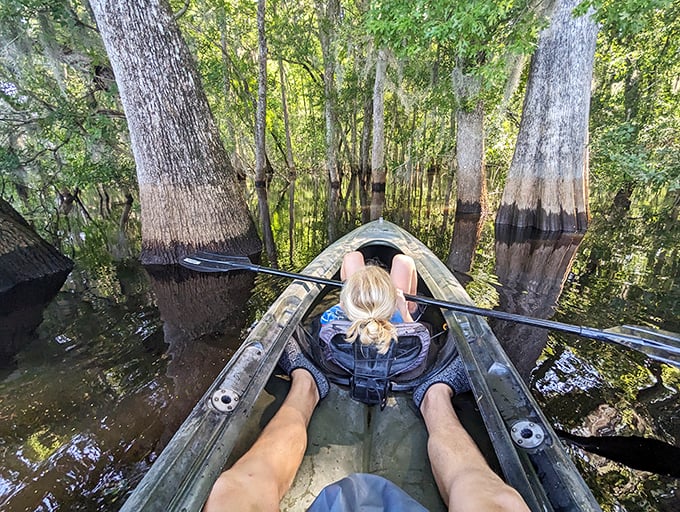 Gliding through cypress knees in a clear kayak&mdash;nature's version of a glass-bottom boat tour, minus the cheesy commentary.