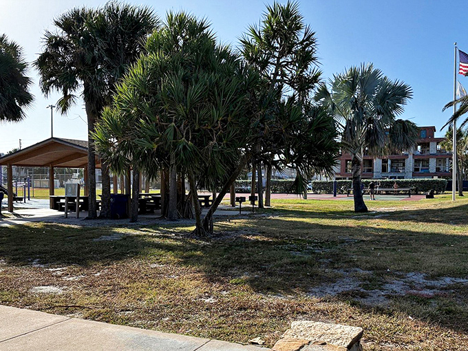 Palm trees create natural shade in this peaceful park area, offering respite from Florida's famous sunshine.