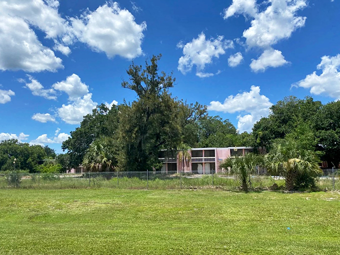These octagonal structures once housed tropical cocktail hours and business mixers &ndash; now they mix only with vines and Florida's relentless humidity.