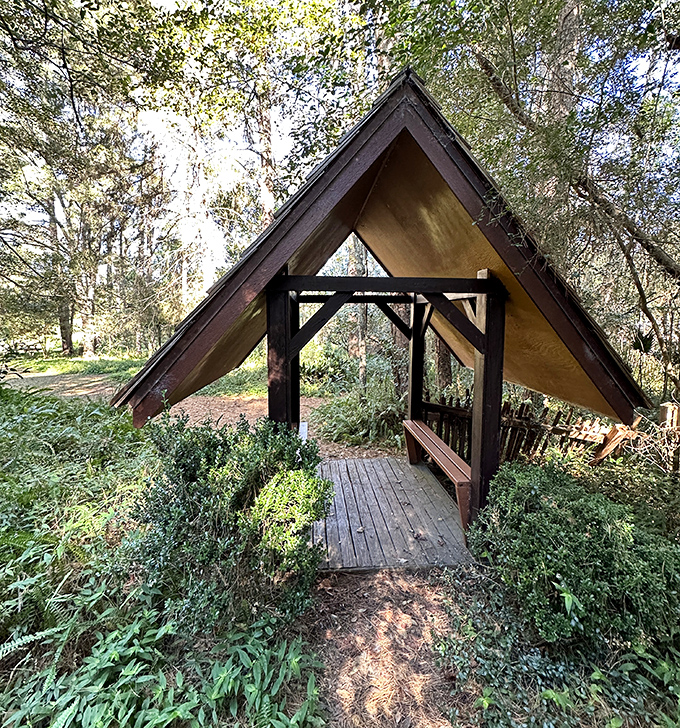 Nature's cathedral: This simple wooden shelter offers a contemplative spot to sit and soak in the peaceful surroundings.